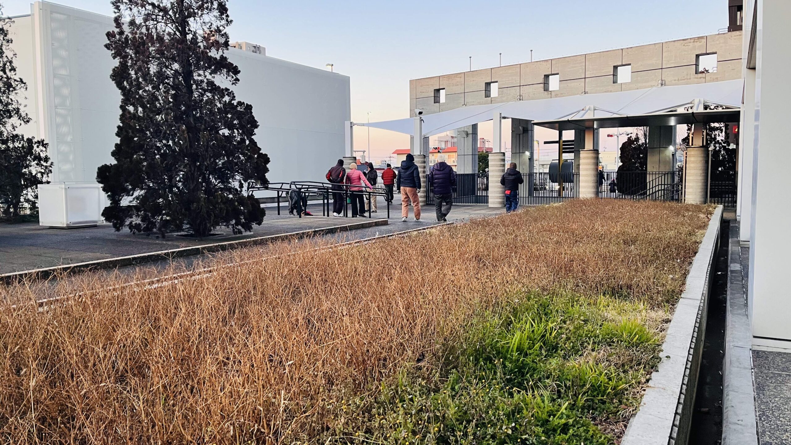 ラジオ体操 | LEGATOSHIPブログ